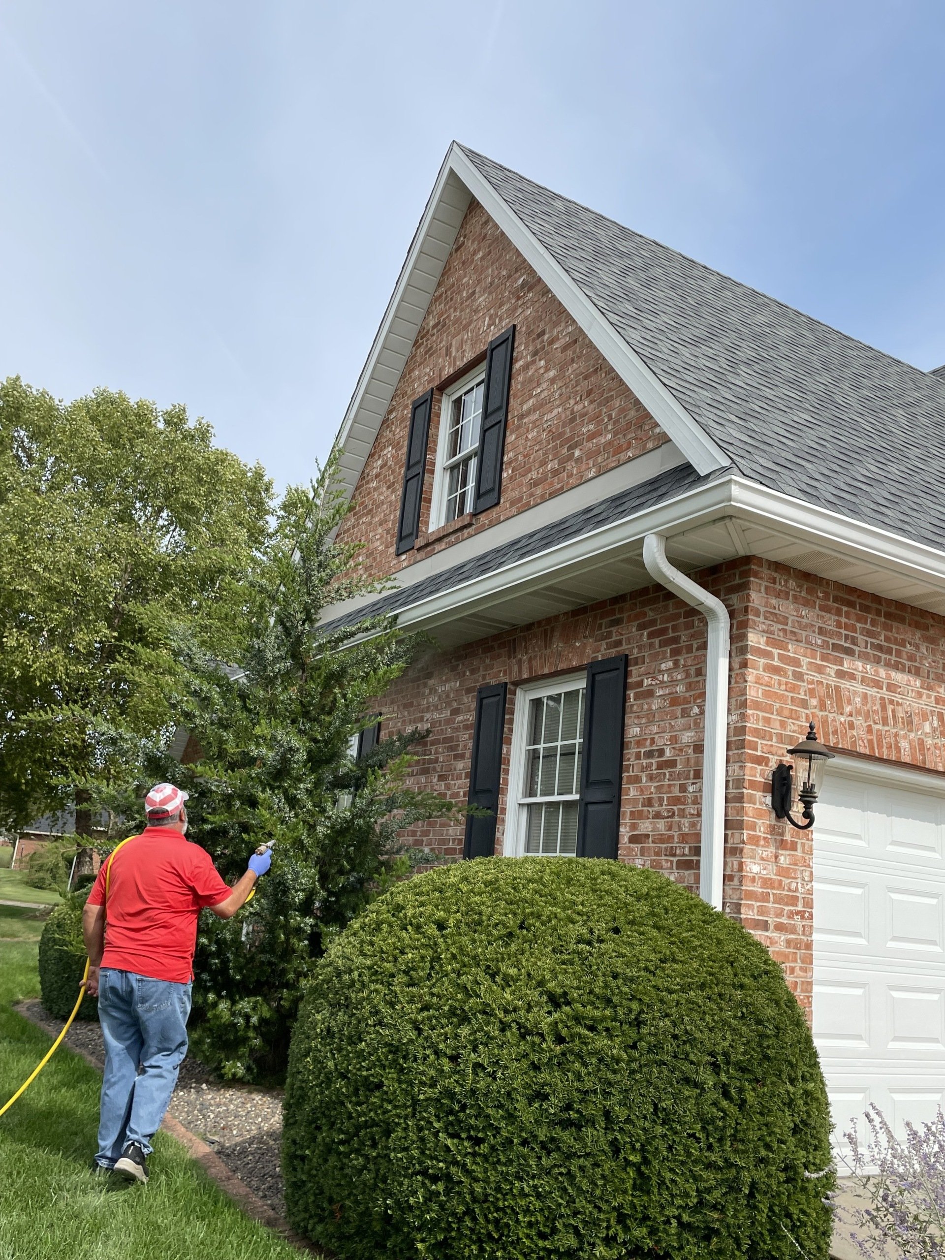 Common Pest Library | Jefferson City, MO | Art’s Pest Control