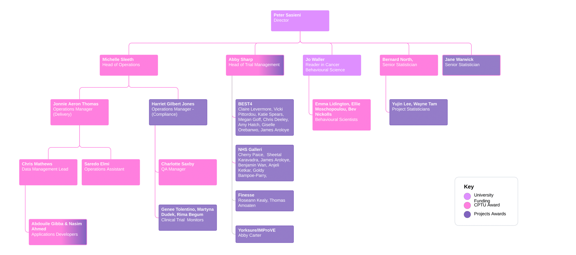 Researchers and Team Members