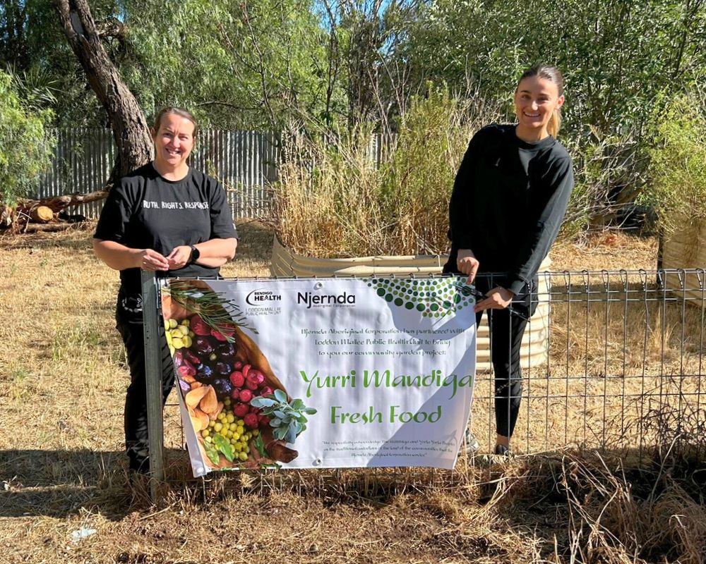 Aboriginal Health Newsletters | Njernda Aboriginal Corporation | Echuca