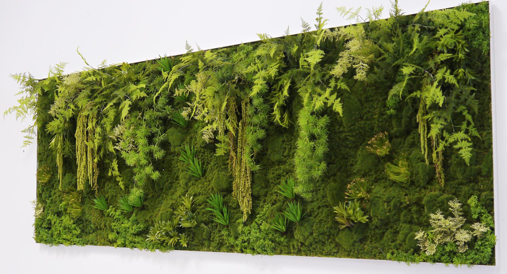 Indoor Moss Walls and Moss Art | Livingreen Design | No Maintenance