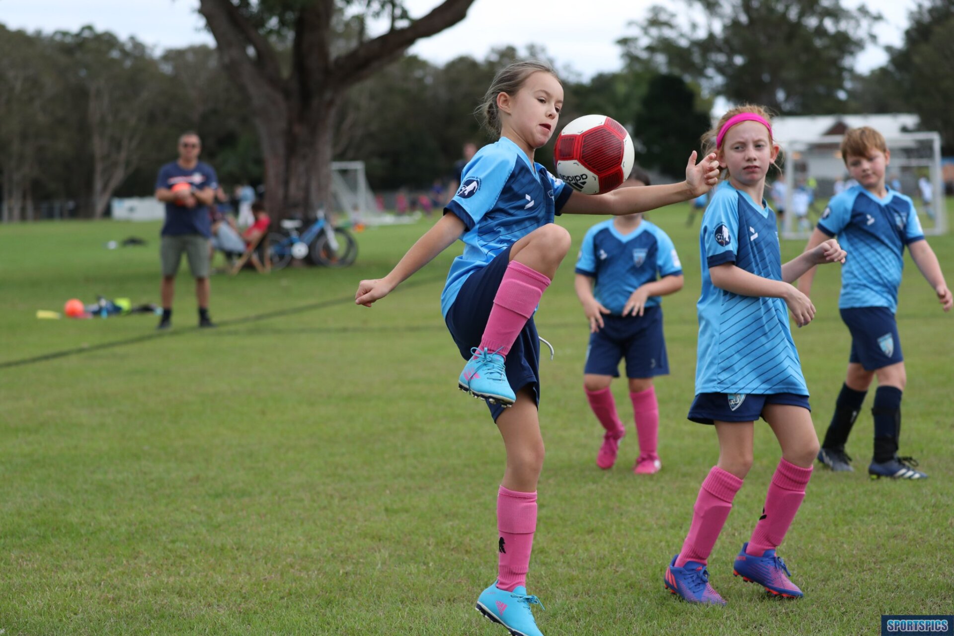 Gallery | Tweed United