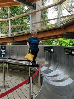 Treetop Walk and slide