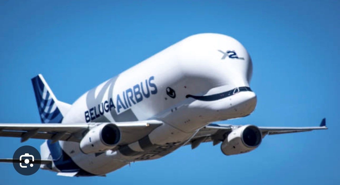 Flying Beluga!