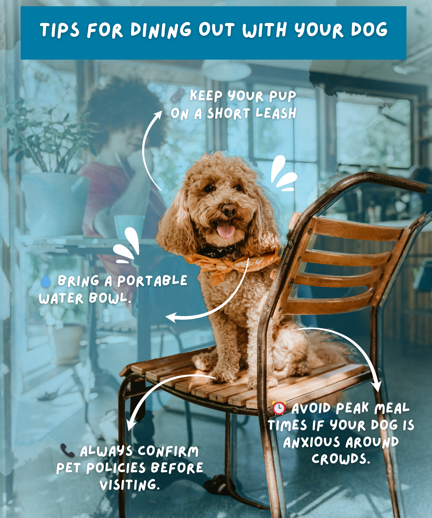 Top Dog-Friendly Restaurants in Peachtree Corners for You and Your Pup