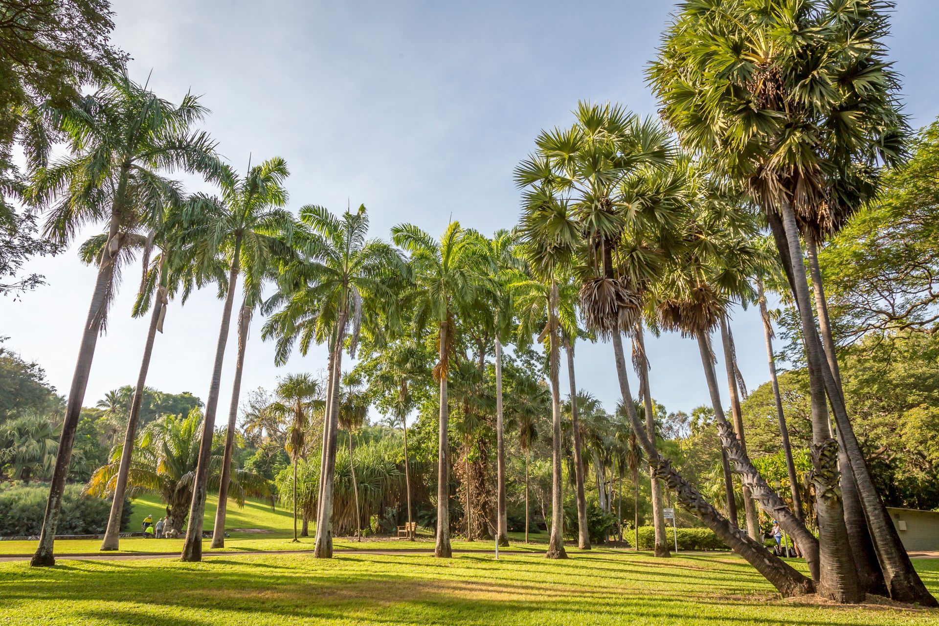 Things to do in Darwin over 5 days