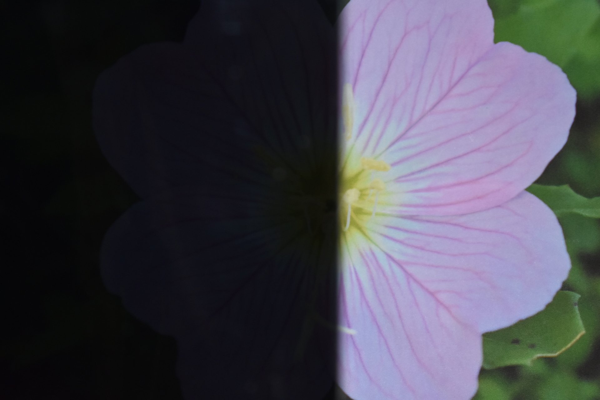 Window Glass| San Antonio, TX | East End Glass Company Inc.