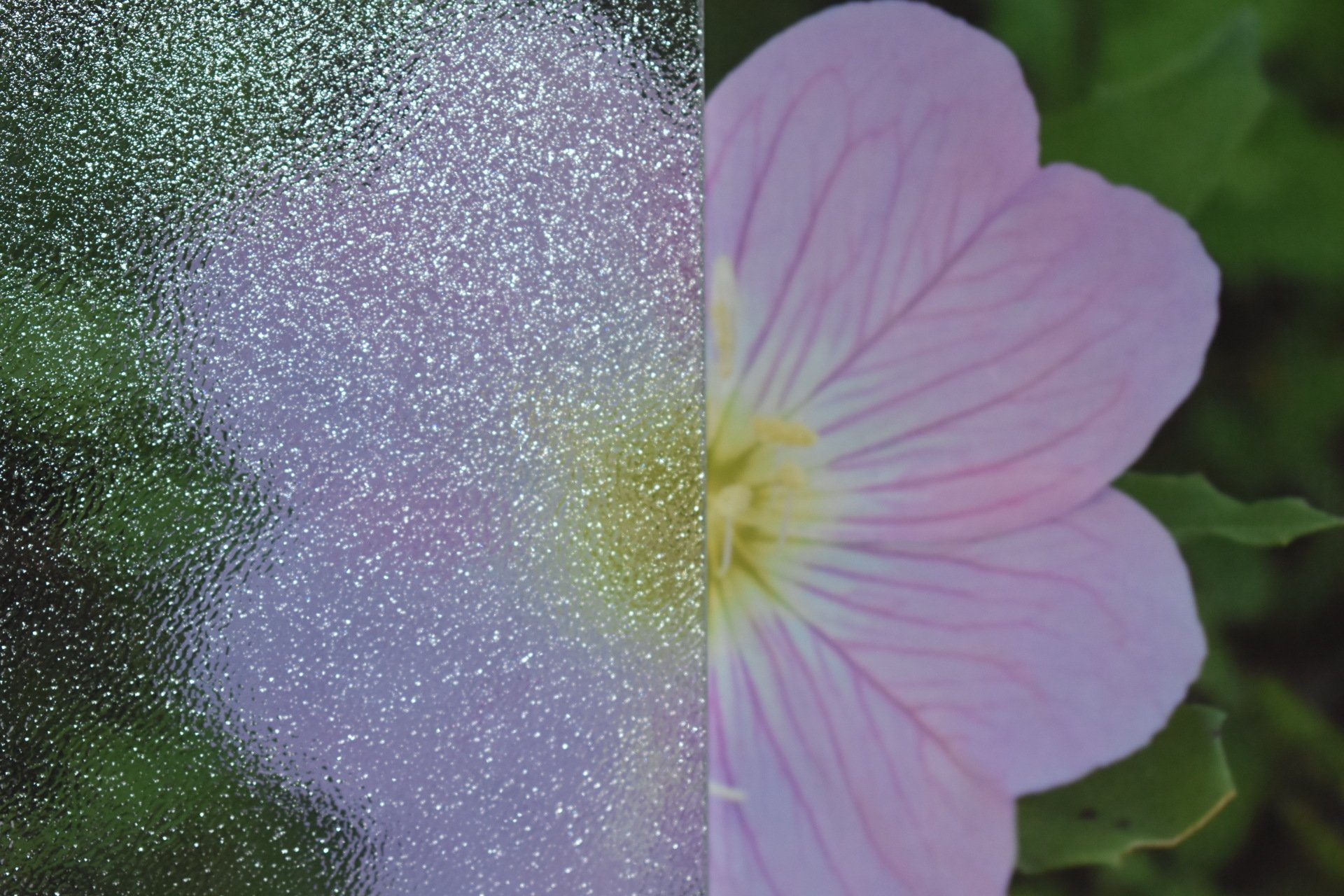 Window Glass| San Antonio, TX | East End Glass Company Inc.