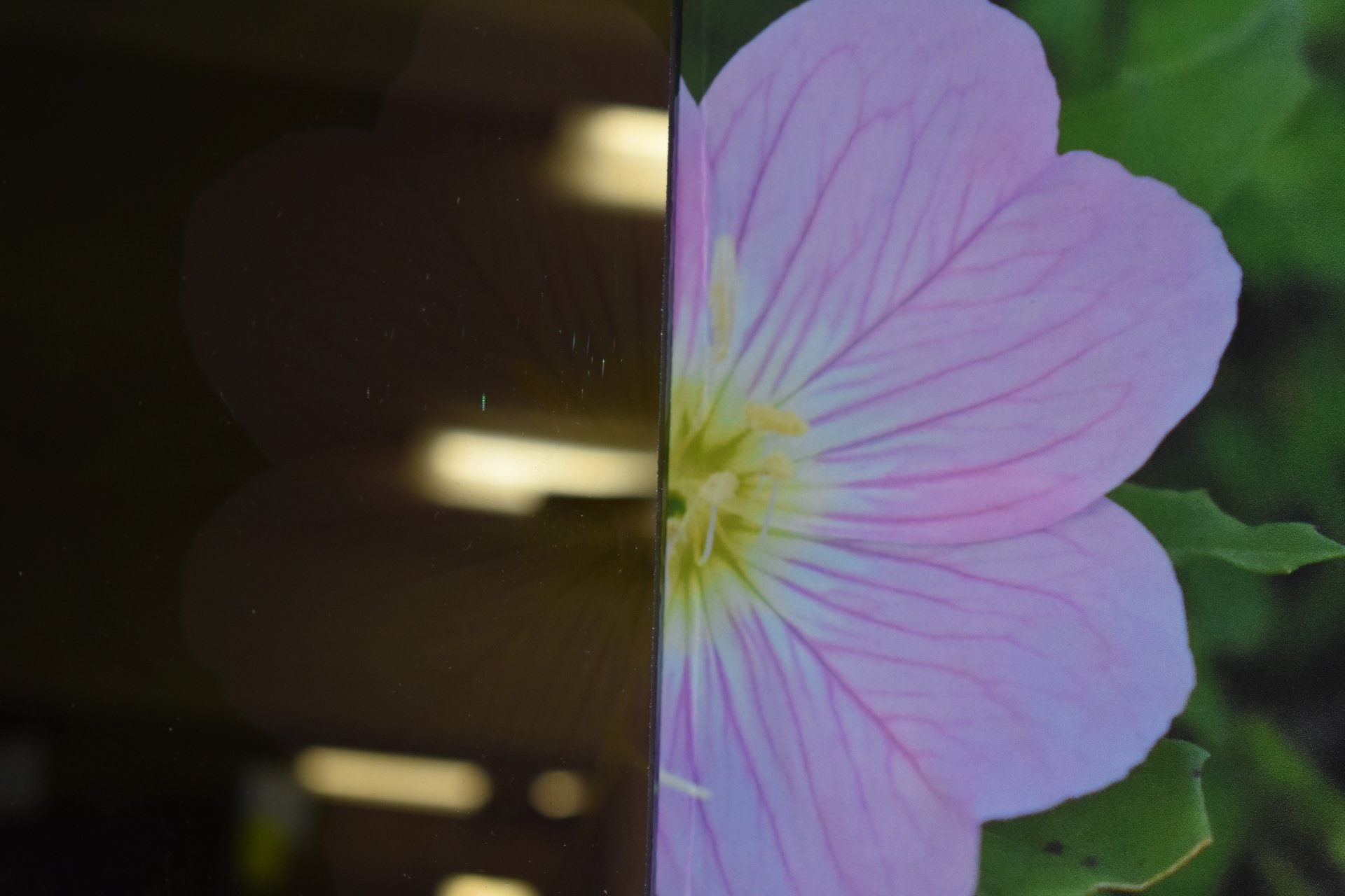 Window Glass| San Antonio, TX | East End Glass Company Inc.