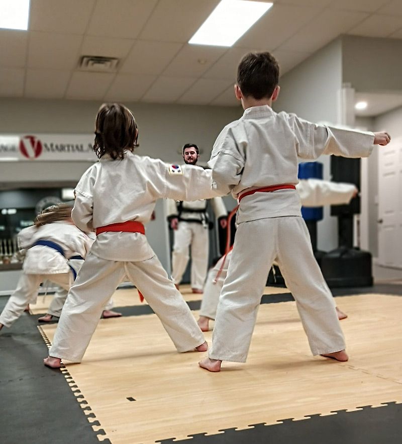 Martial Arts Classes | Village Martial Arts | Chepachet