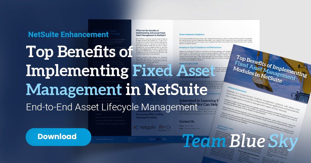 TeamBlueSky | Award Winning NetSuite Alliance Partner