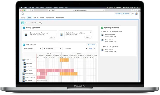 NetSuite Payroll | TeamBlueSky