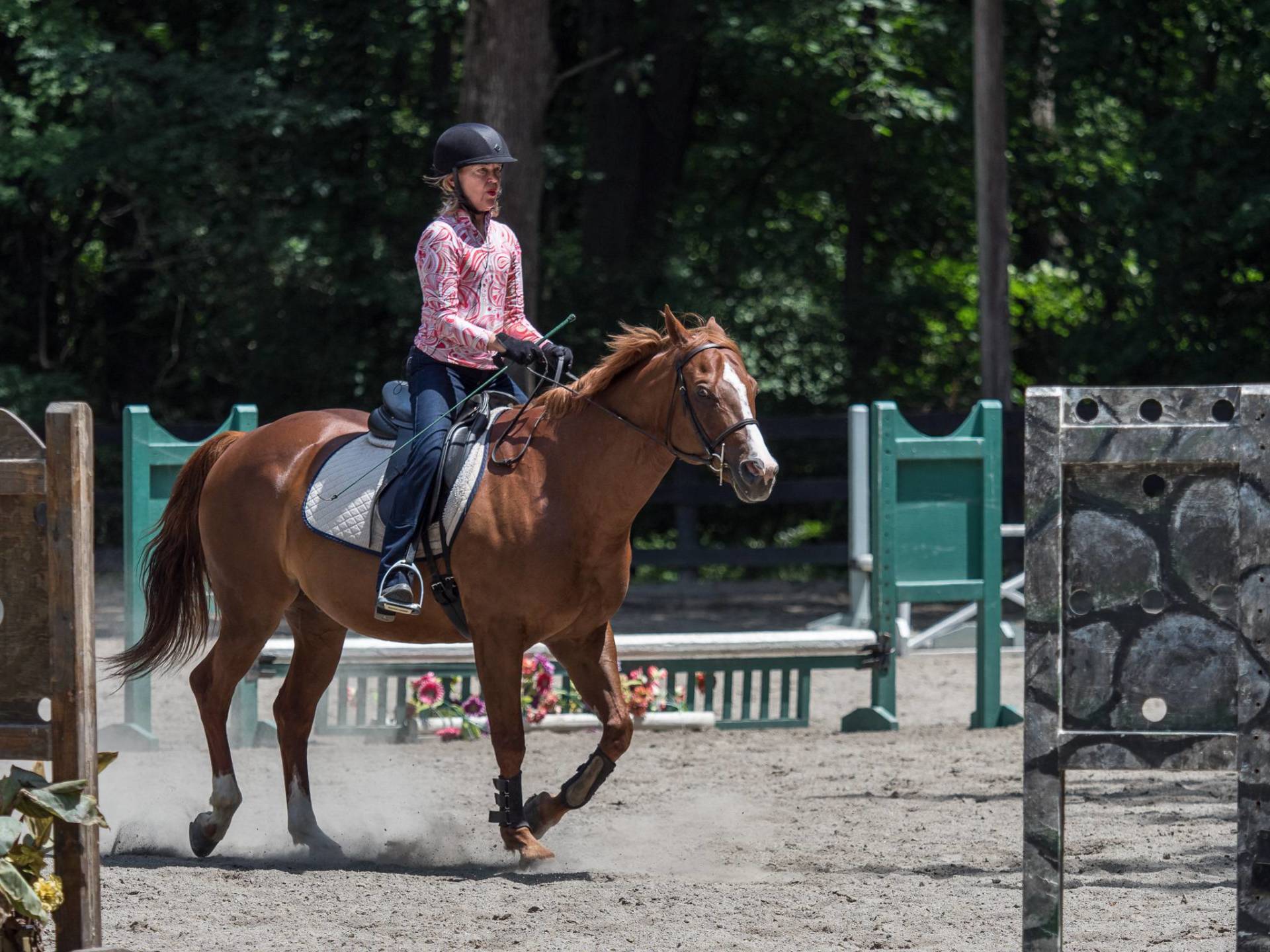 Horse Riding Lessons | Armonk, Briarcliff Manor & Westchester, NY