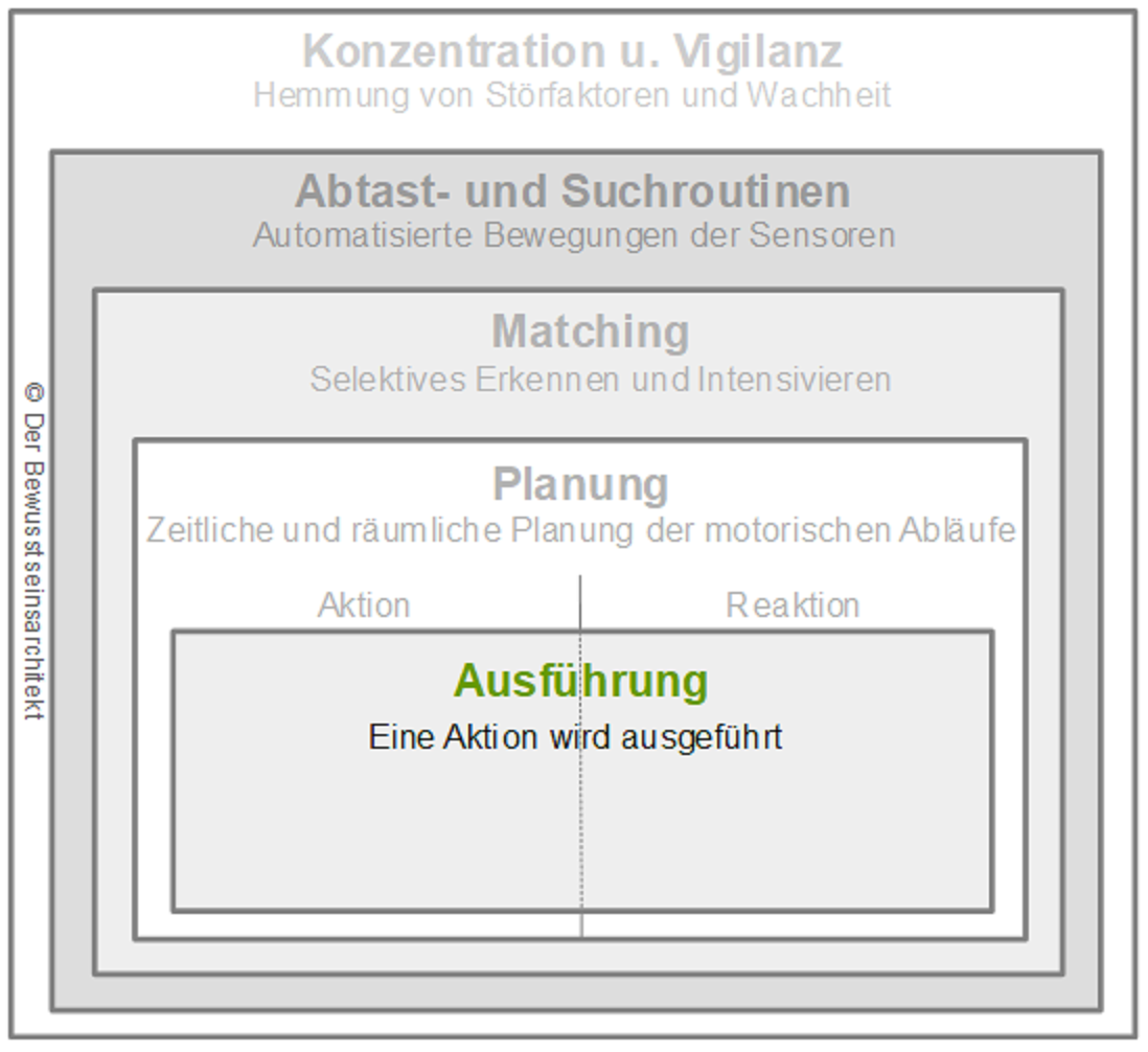 Der Bewusstseinsarchitekt