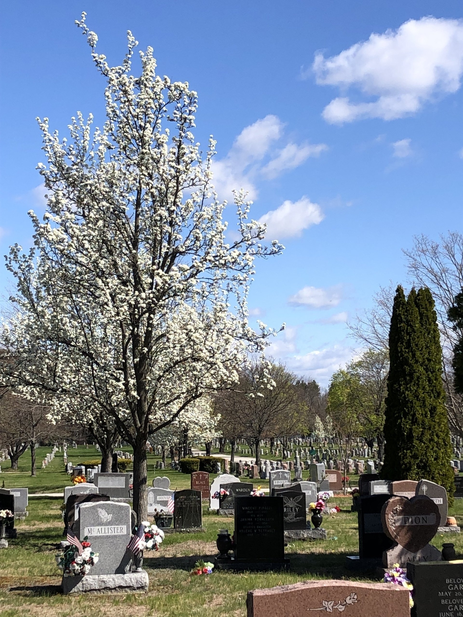 SAINT JOSEPH CEMETERY