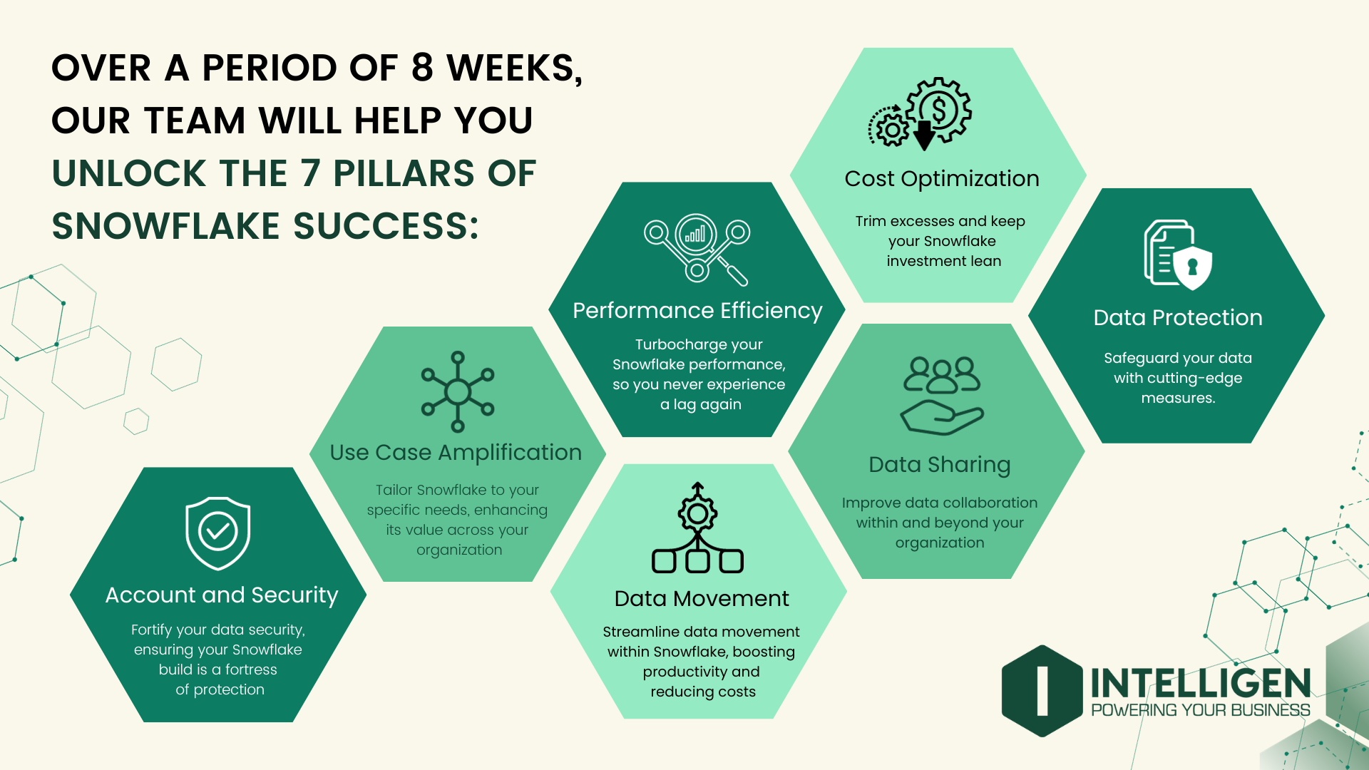 FREE Snowflake Health Check