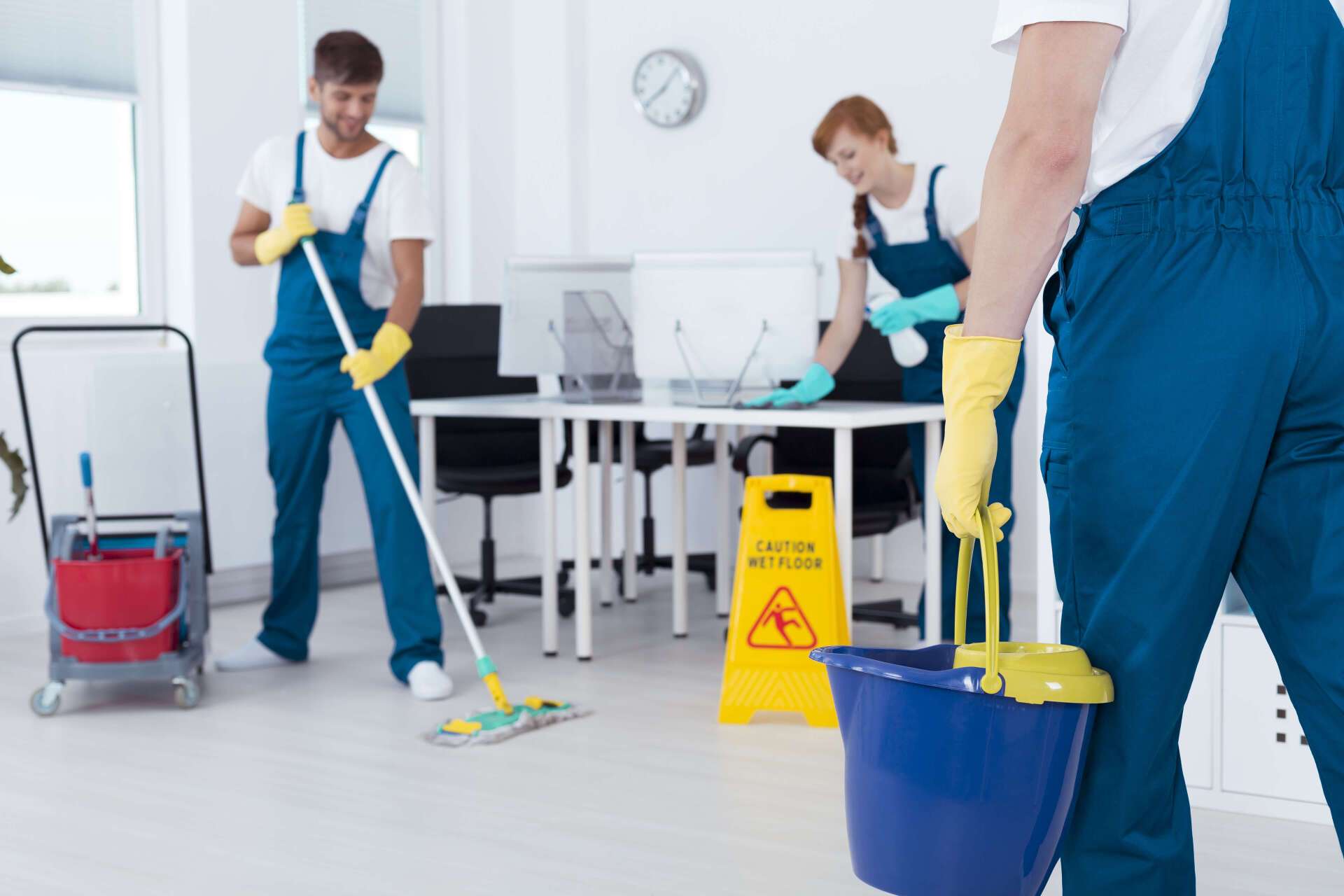 Cleaning & Pest Control Services Lebanon | Insecta