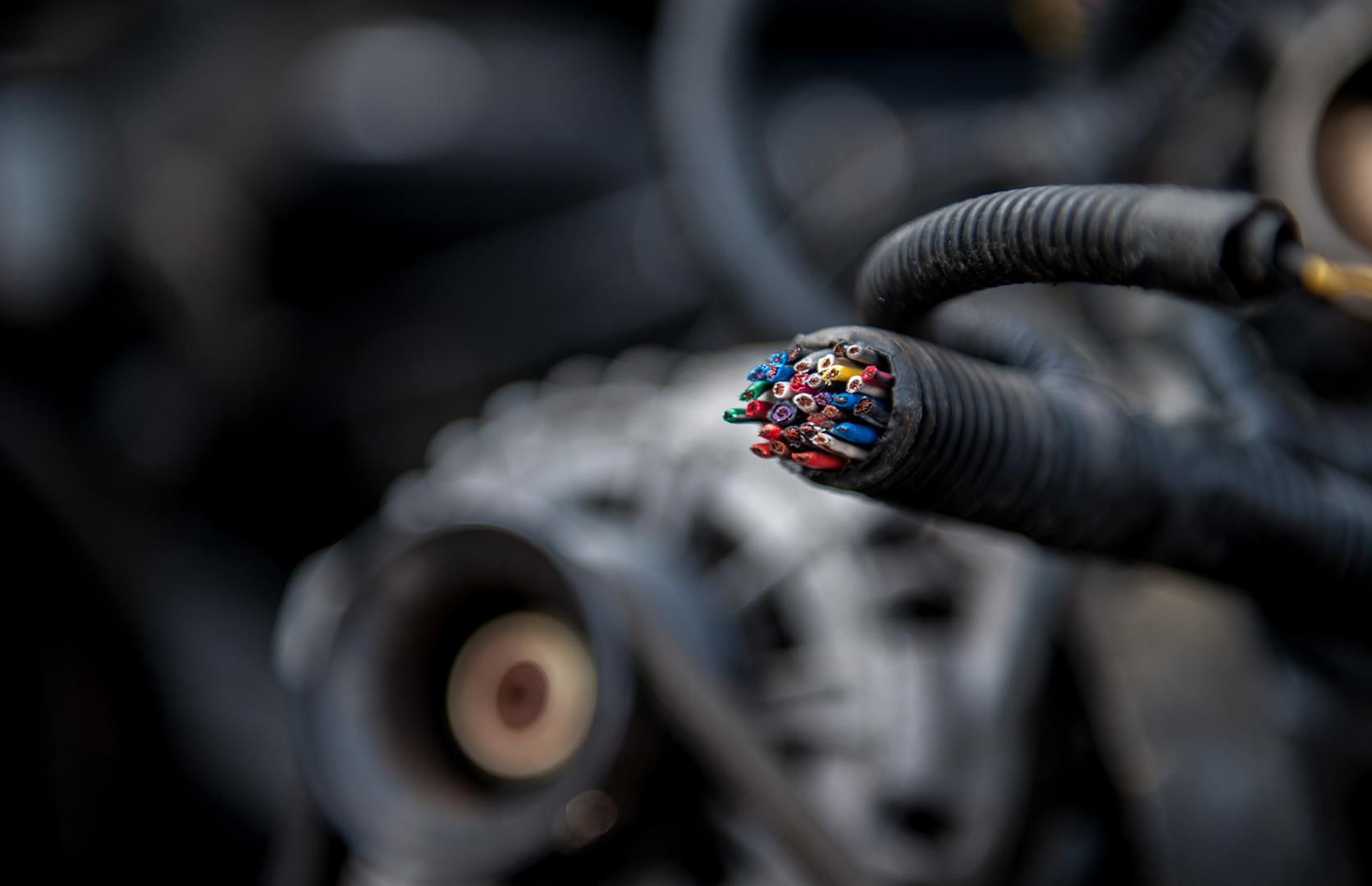 Berkeley Automotive Rodent Damage Repair - Berkeley Bob's