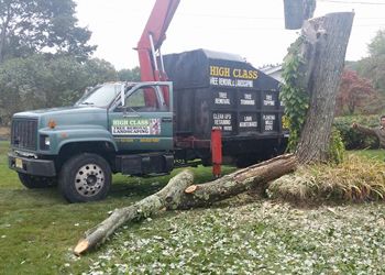 High Class Tree Service | Succasunna, NJ