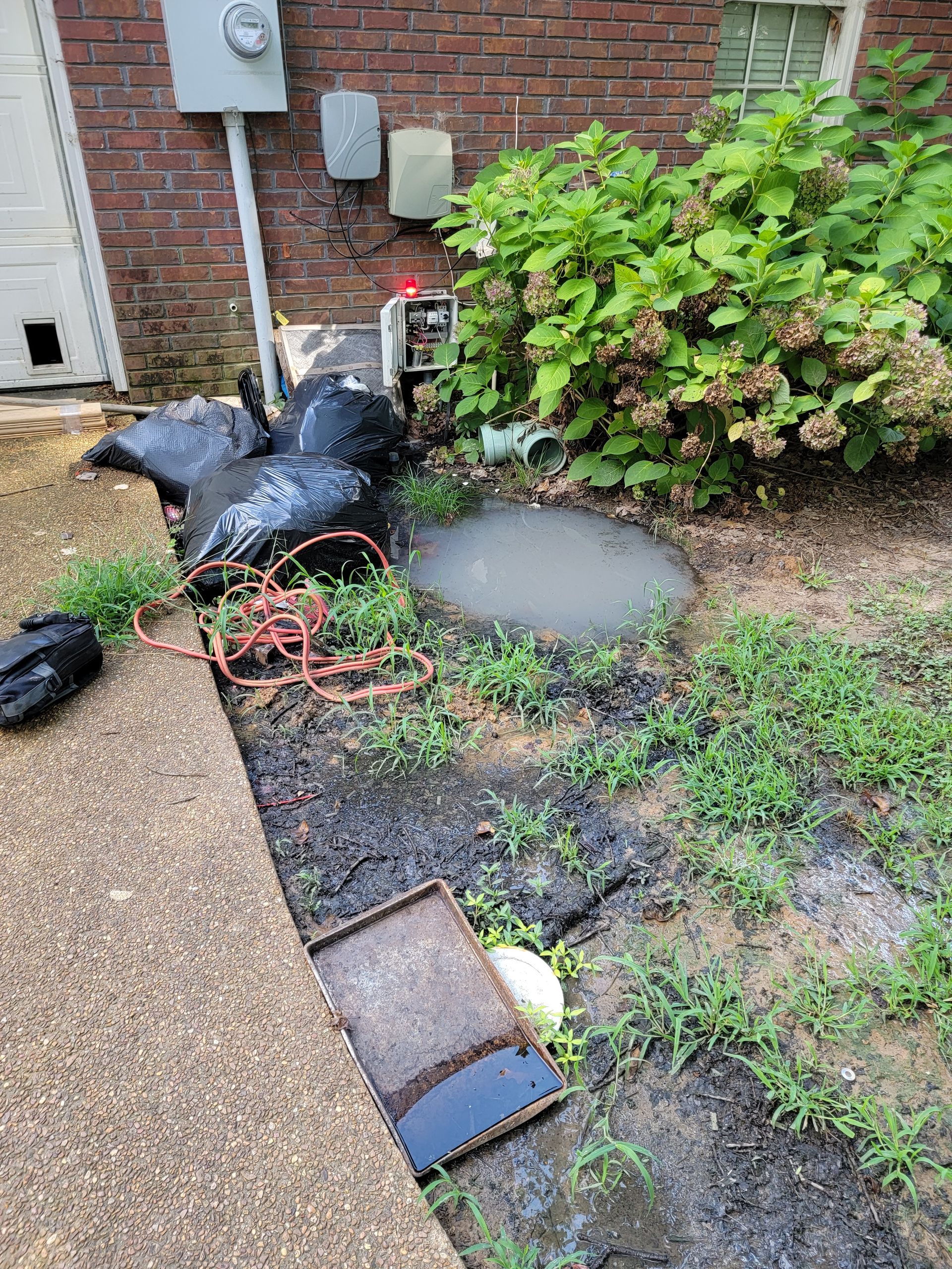 Spotting the Signs: How to Identify a Failing Septic Field Line