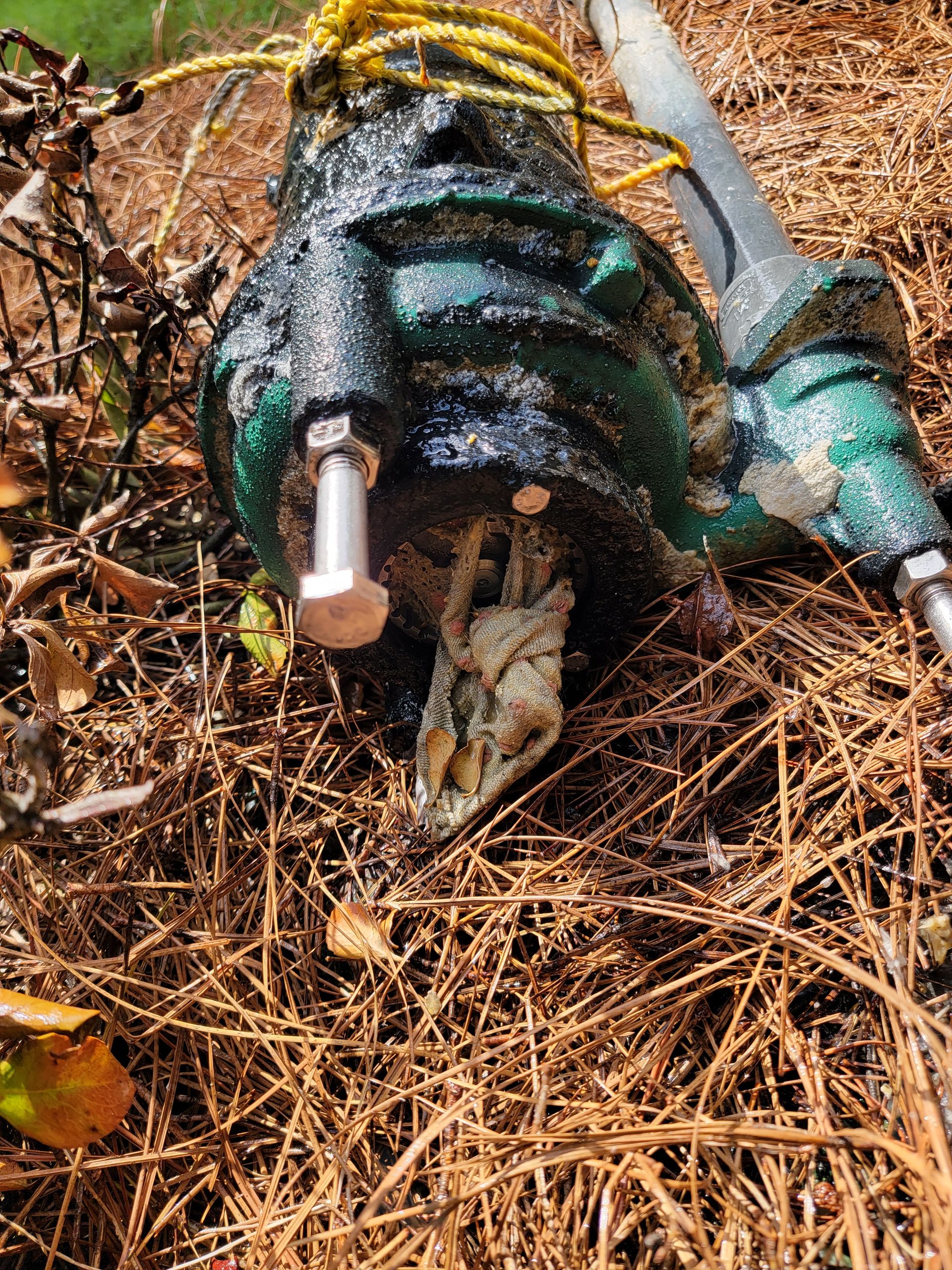 Sludge Hammer in Waste Water Treatment | Greenpro