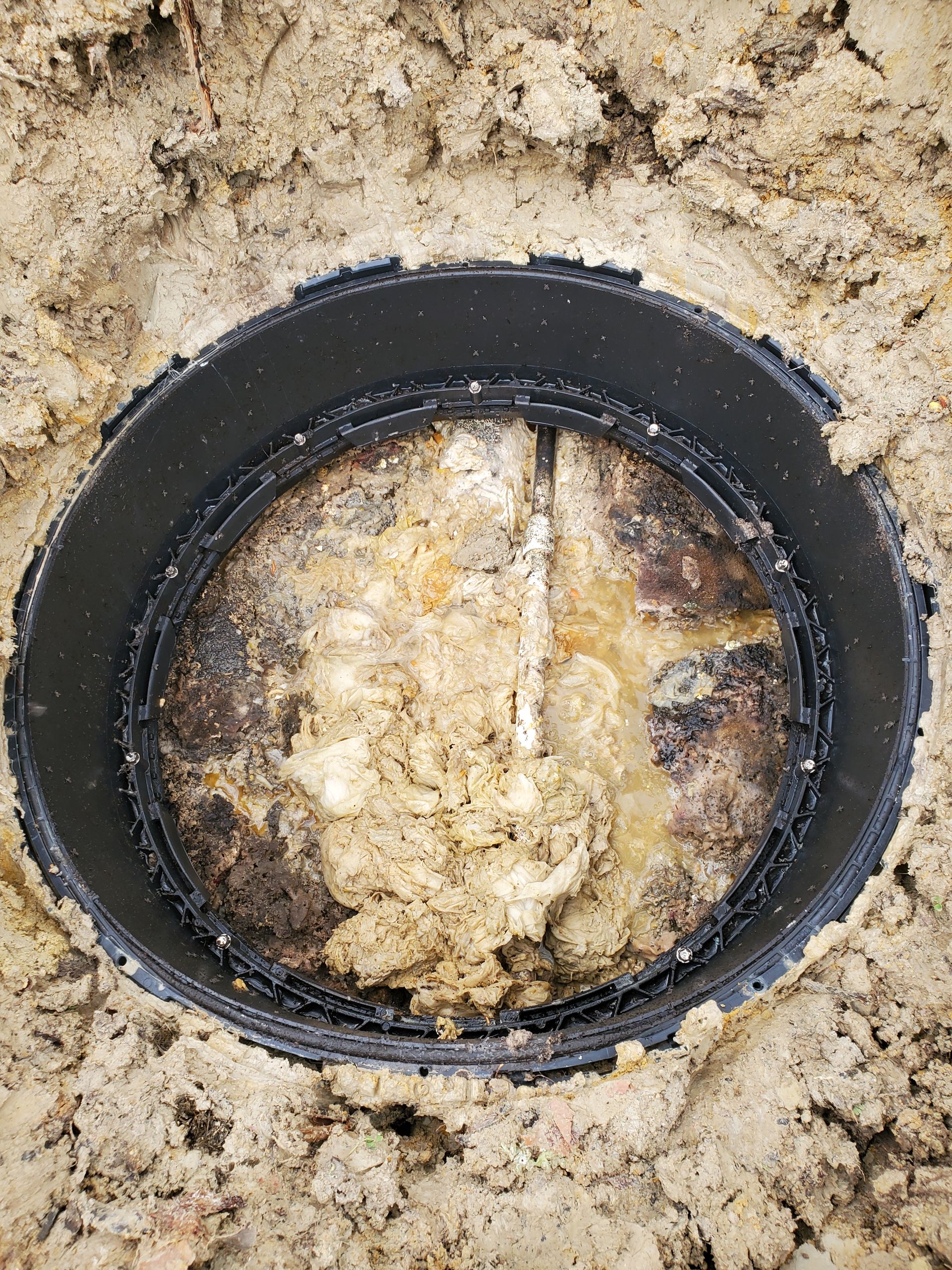 Spotting the Signs: How to Identify a Failing Septic Field Line