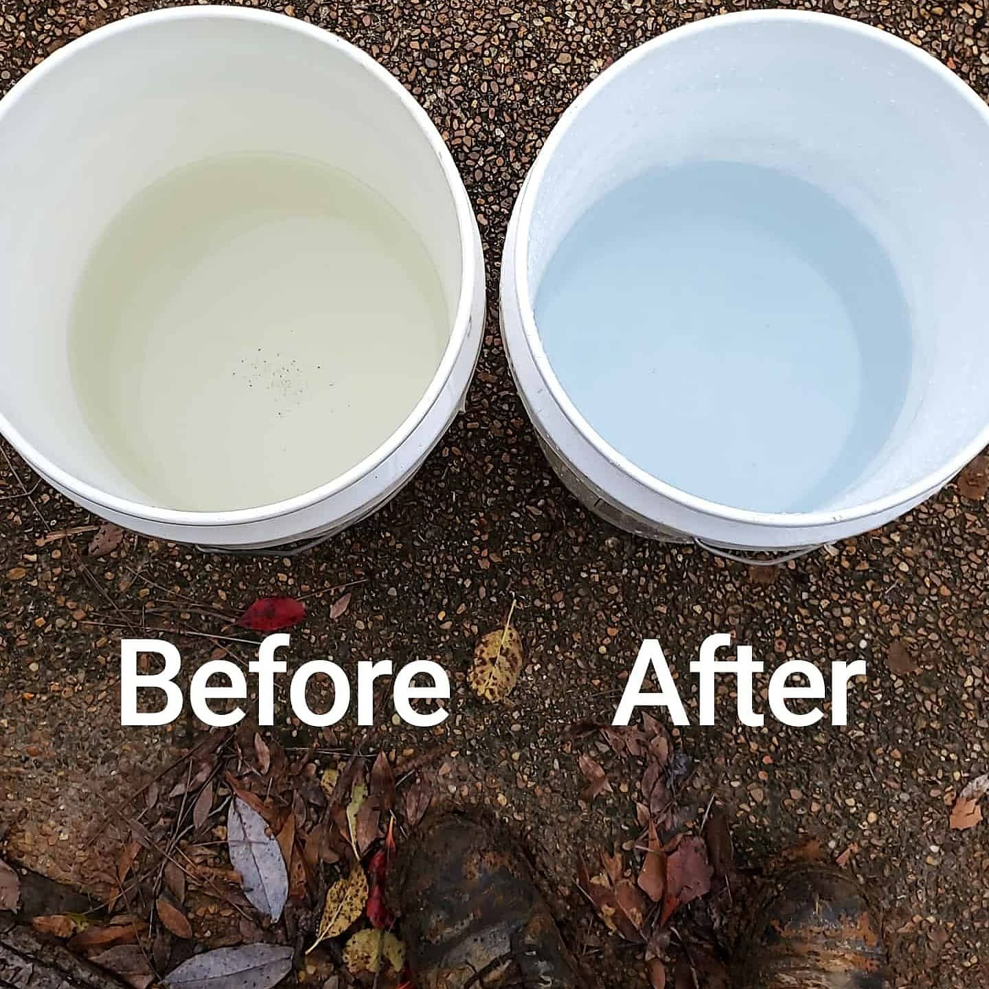 How to Get Rid of Septic Flies | Sink Flies | Greenpro