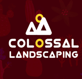 Expert Landscaping Services | Colossal Landscaping LLC
