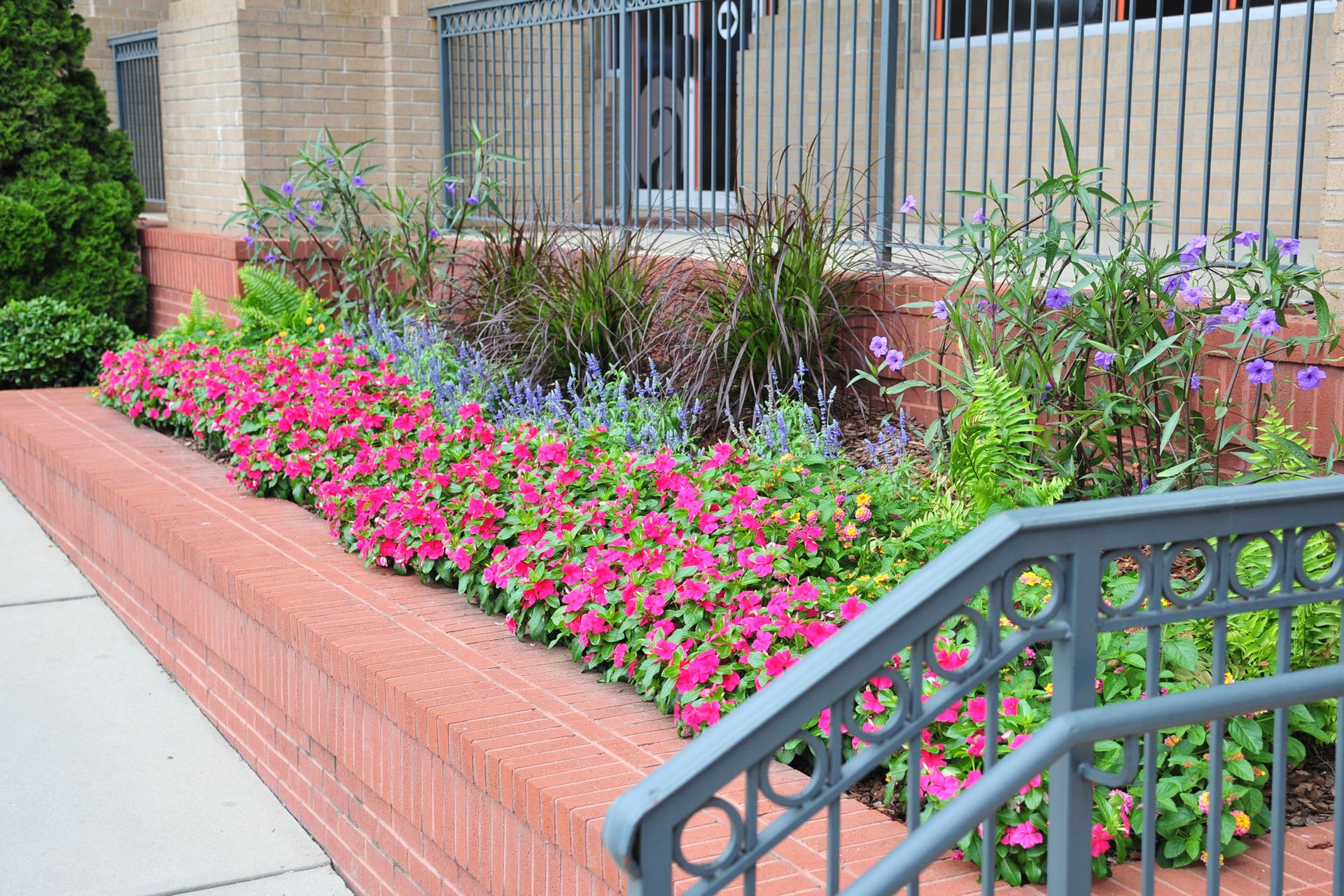 Multi-family Landscaping Services | Chatham Landscapes