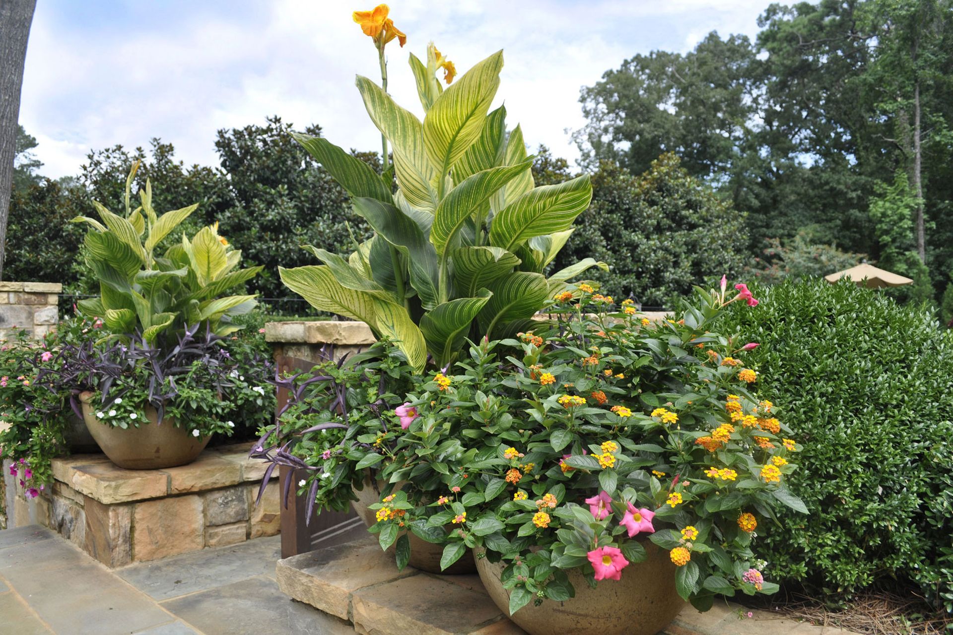 Expert Horticulture Services | Chatham Landscapes