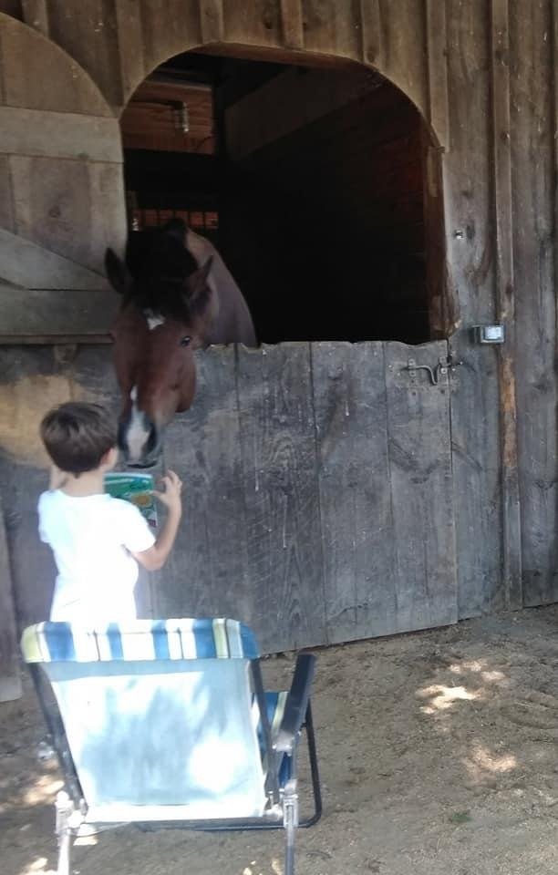 Hidden Hollow Farms & Riding Center, Inc. - Milan, NY