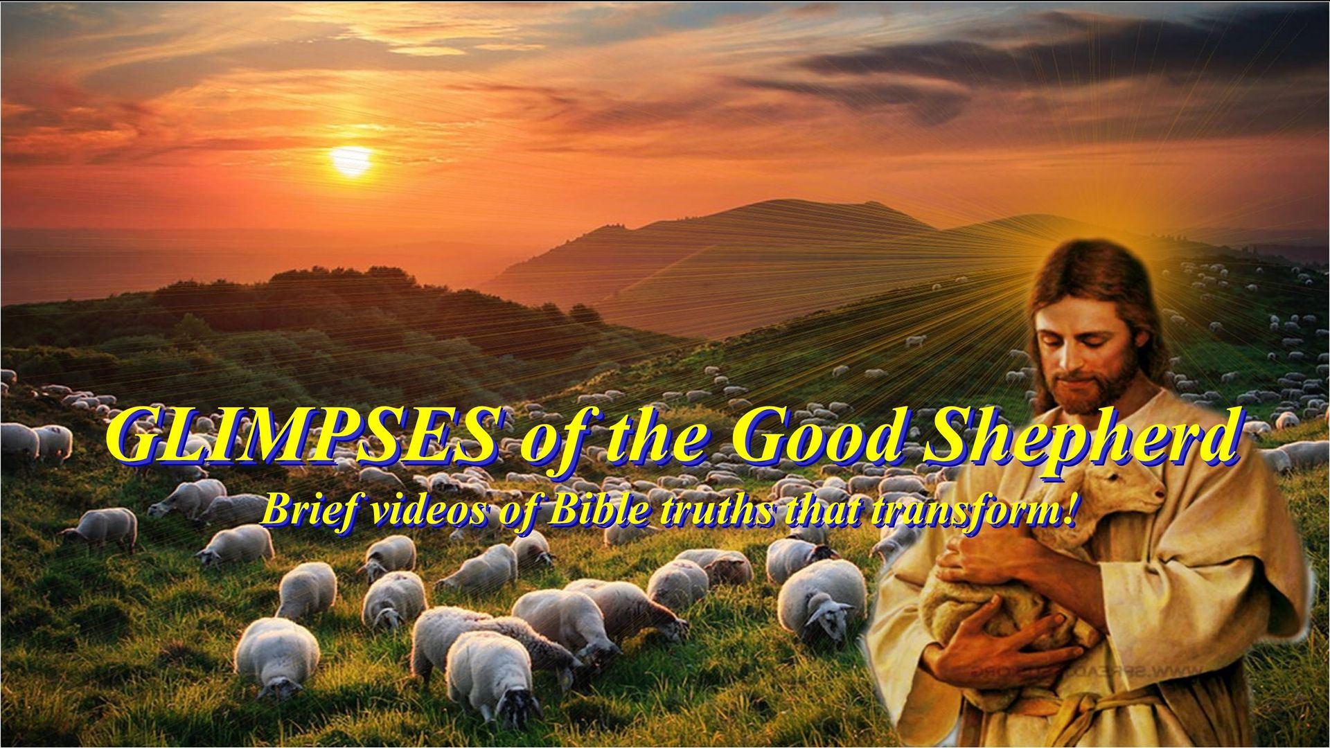 Glimpses of the Good Shepherd