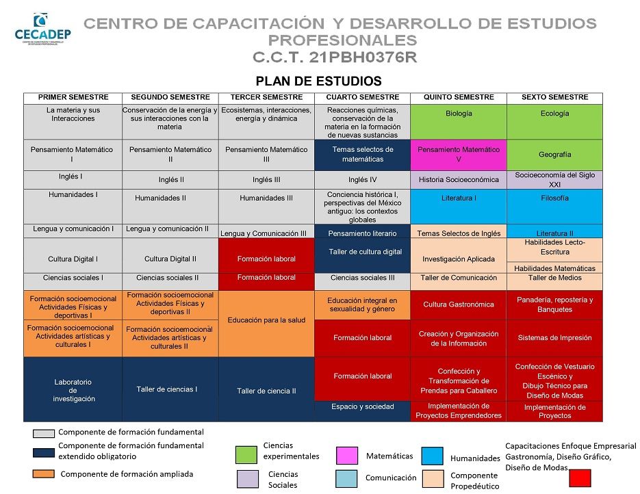 Bachillerato general en Puebla - CECADEP