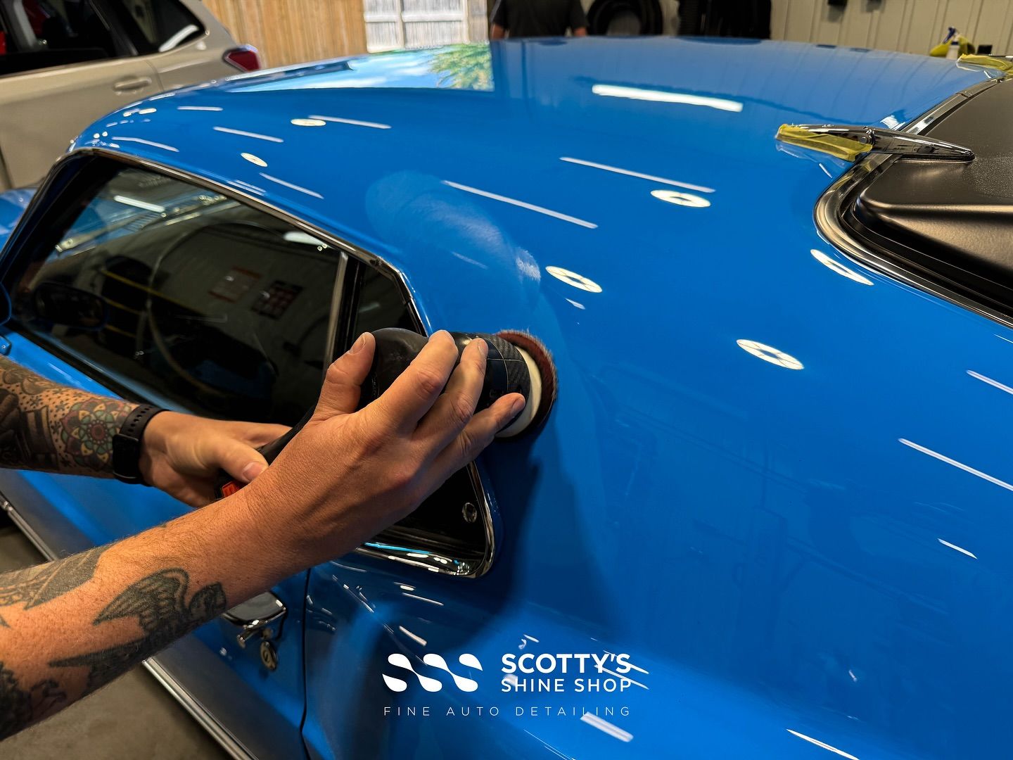 1970 Mustang Mach 1 | Paint Correction, Modesta Ceramic Coating ...