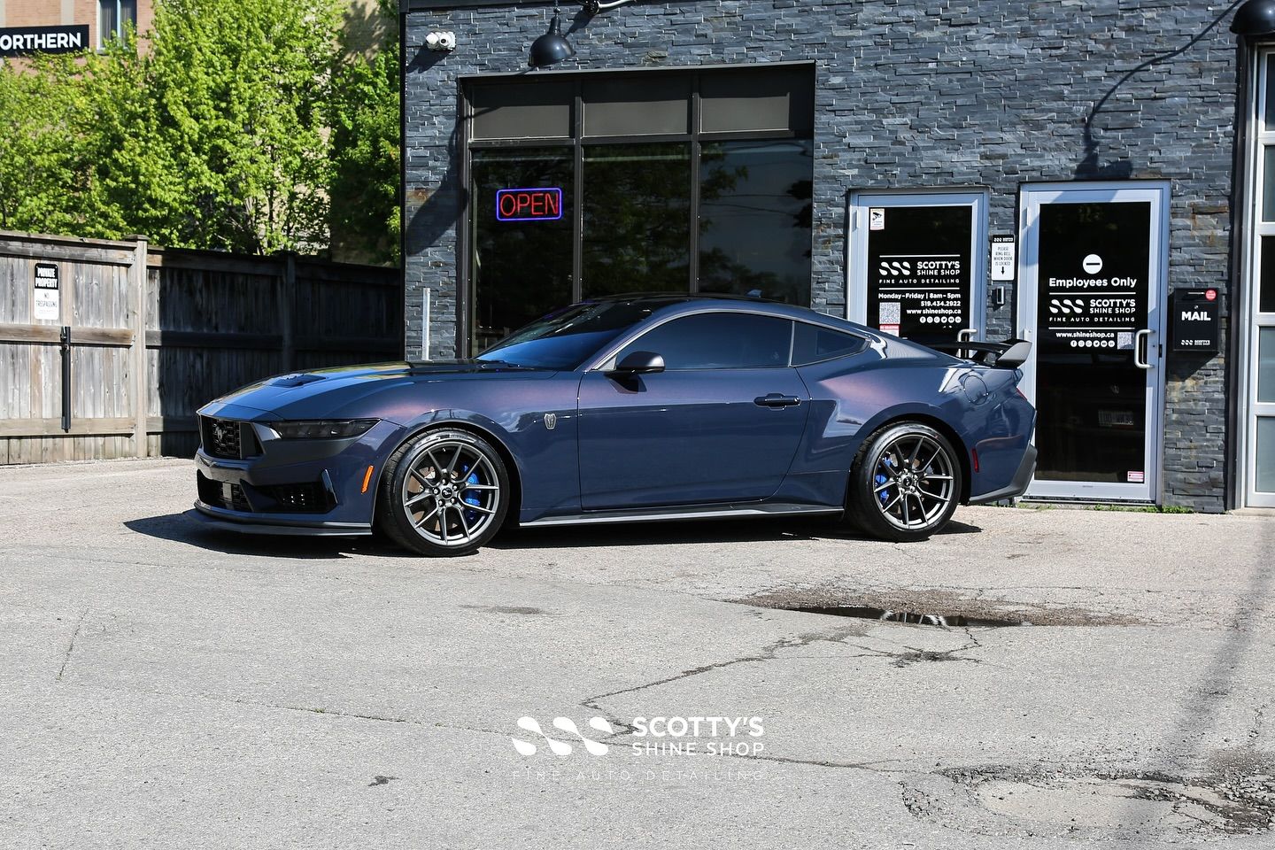 Ford Mustang Ceramic Window Tint SunTek PPF Modesta Coating