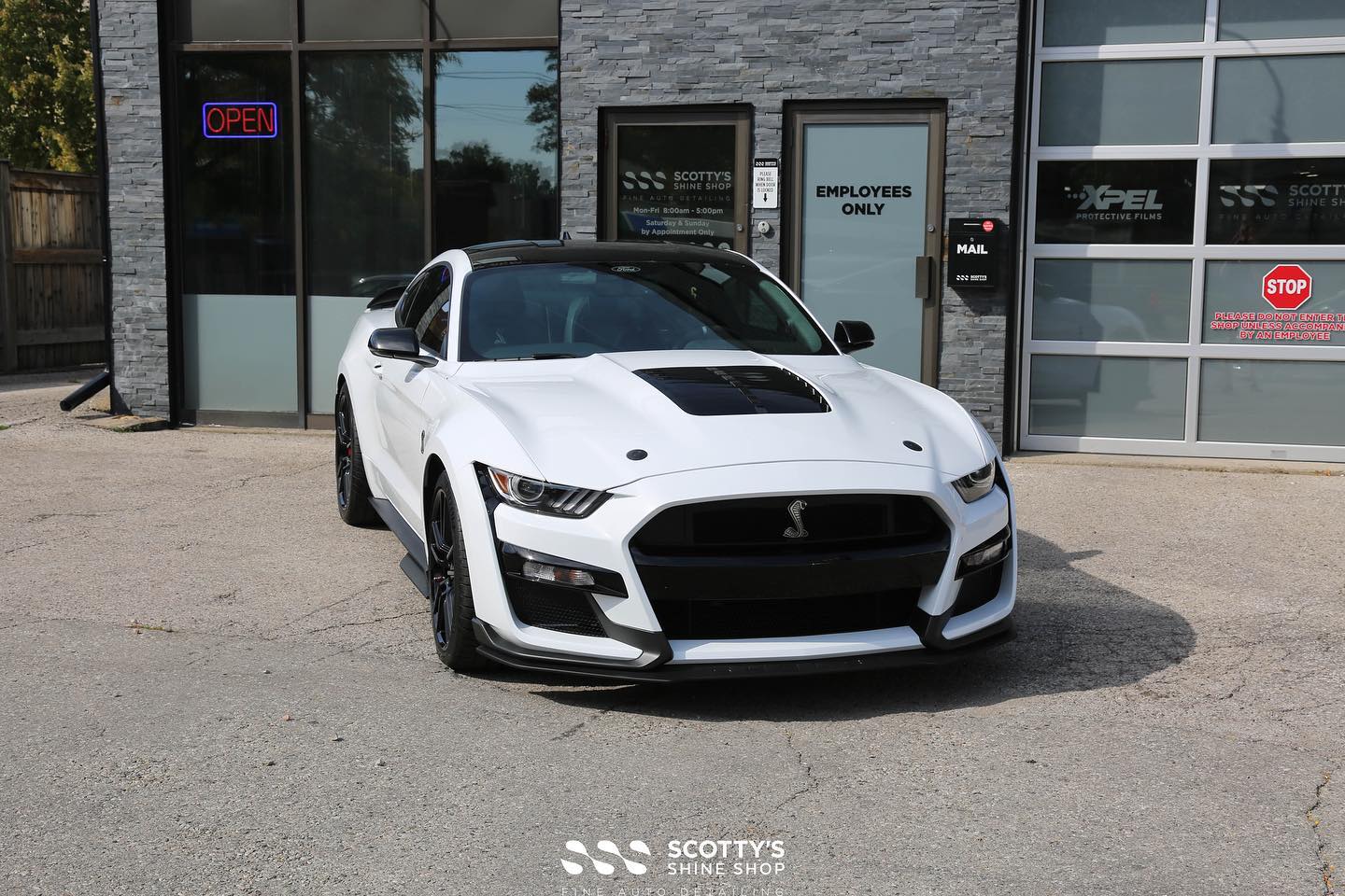 Ford Mustang GT500 Modesta Ceramic Coating