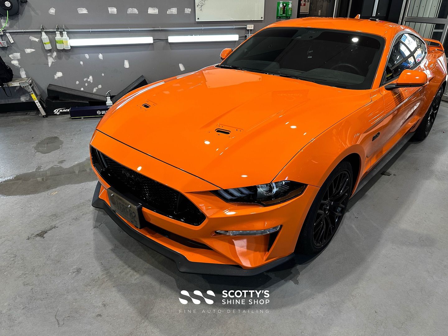 Ford Mustang | Suntek Ultra Paint Protection Film | London