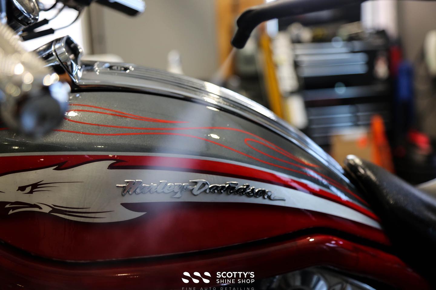 Harley Davidson V Rod | Detailing | London ON