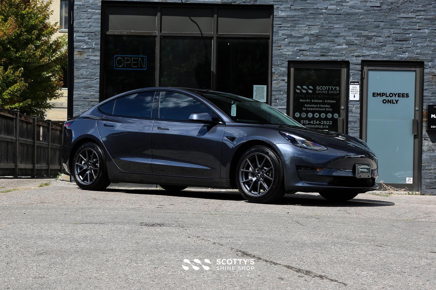 Tesla Model 3 | Xpel PPF and Window Tint | London, Ontario