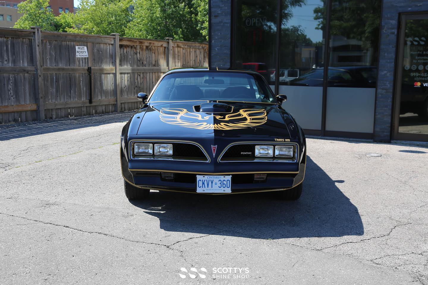 Vintage Pontiac Firebird Paint Correction