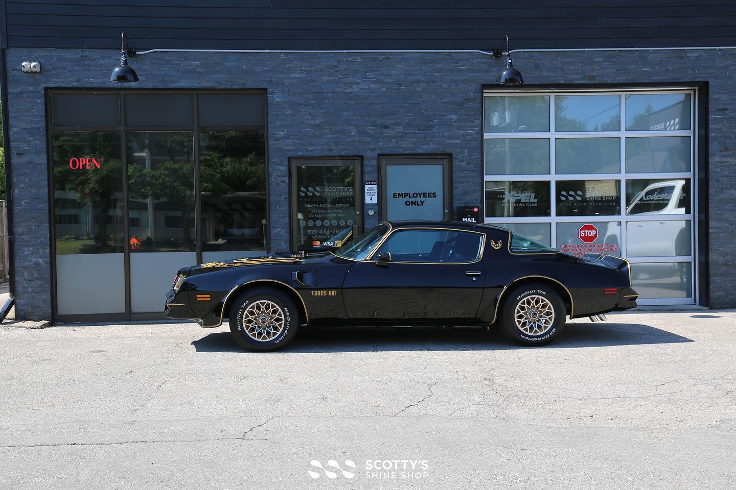 Vintage Pontiac Firebird Paint Correction