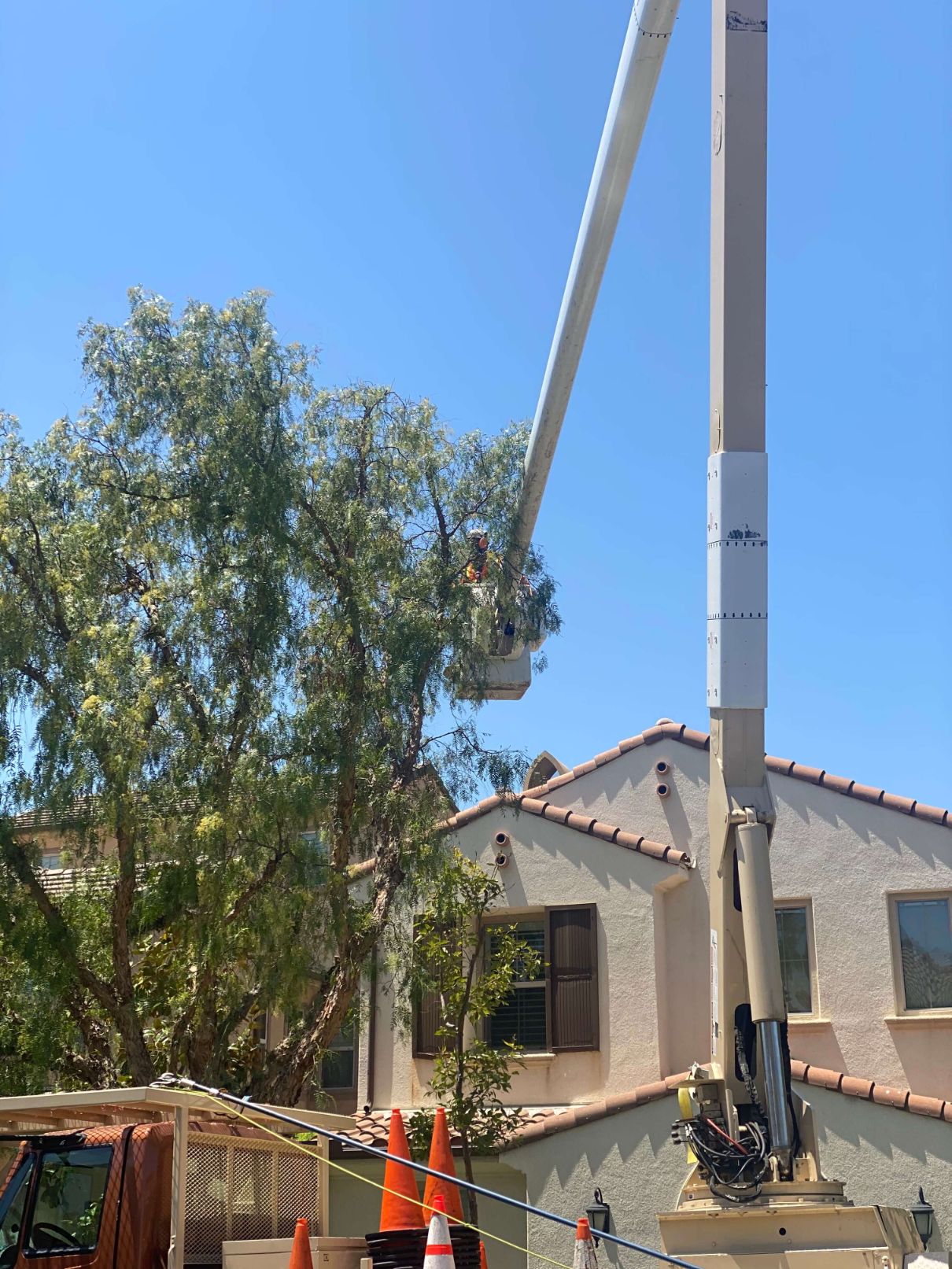 Orange County Tree Care Company | Tree Care Services Orange County, CA