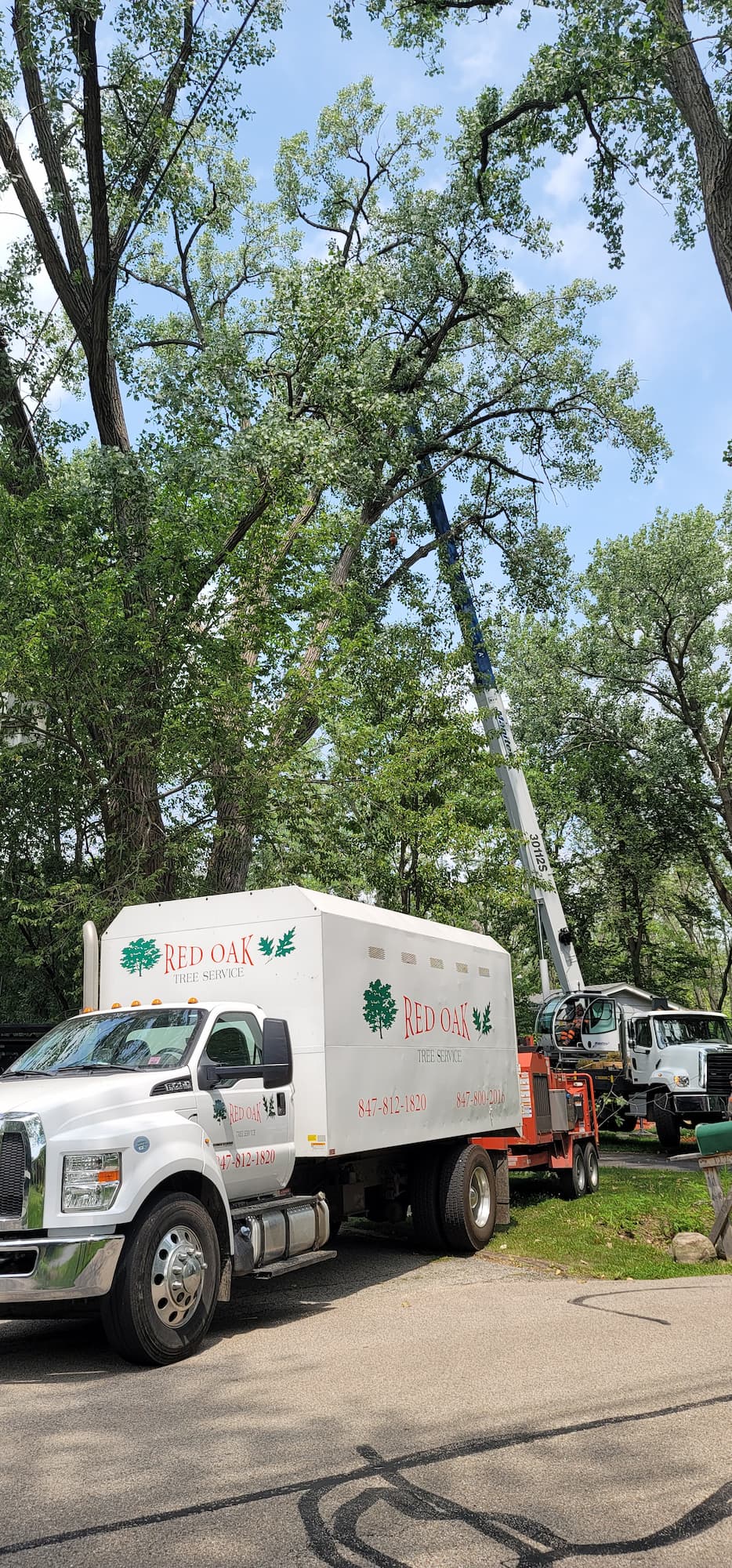 Gallery - Red Oak Tree Service Inc.