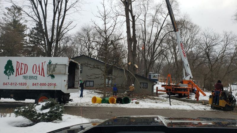 Gallery - Red Oak Tree Service Inc.