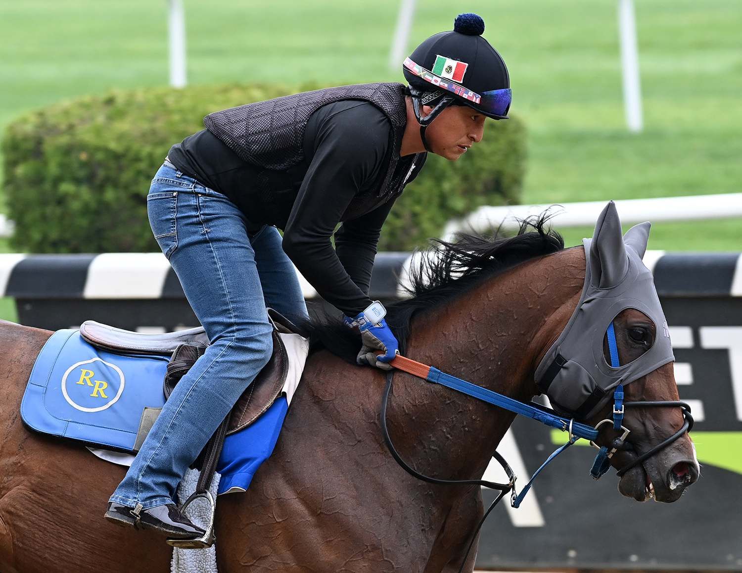 Liquid Titanium Masks with ears