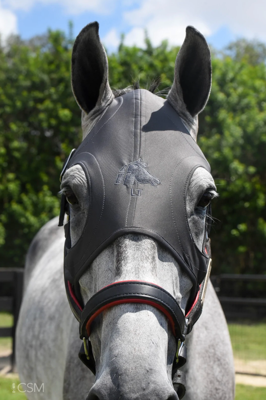 Liquid Titanium Masks without ears