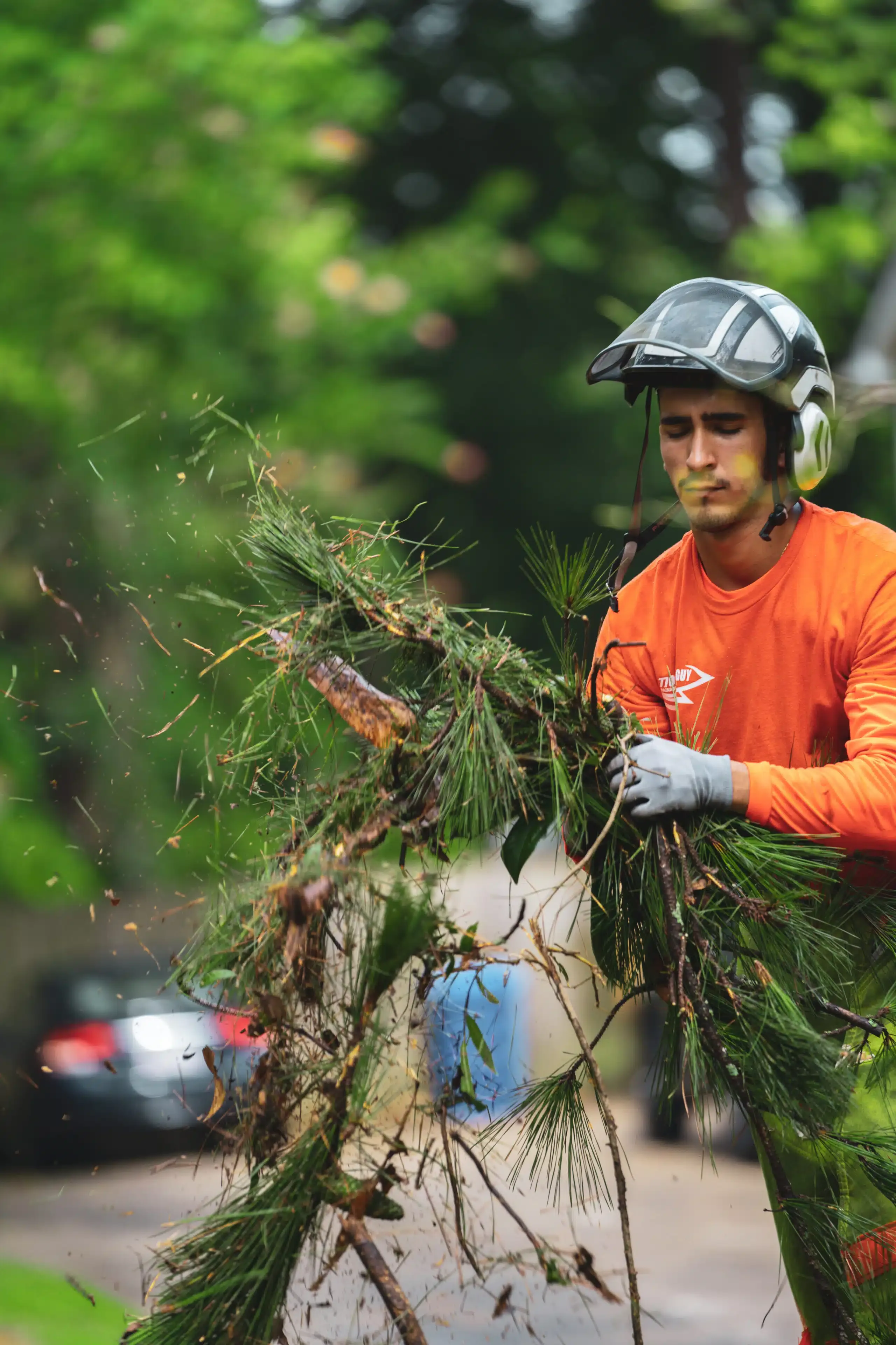 Proper Pruning and Trimming Techniques – Why They Matter