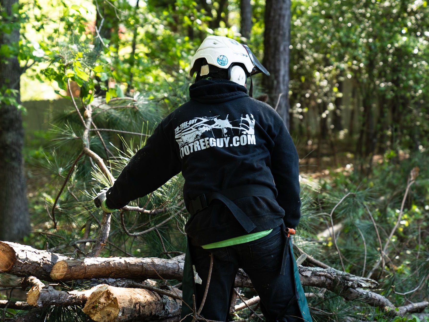 About Us | 770-TREE-GUY