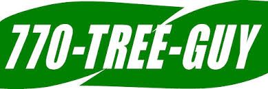 About Us | 770-TREE-GUY