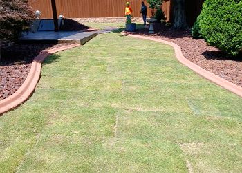 Lawn Services | Tailored Lawns & Tree Services