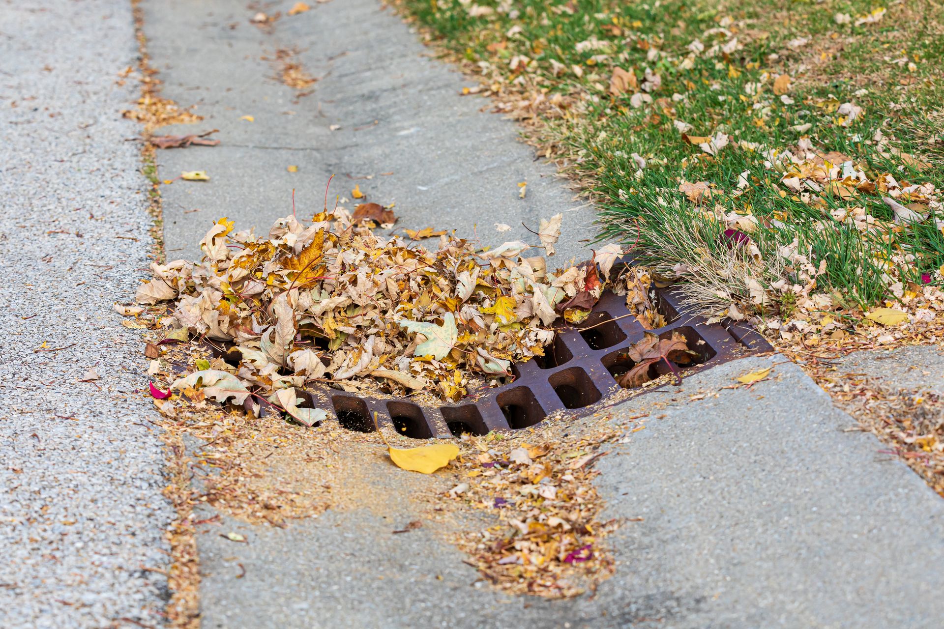Storm Drain Cleaning: Your Guide to Preventing Leaf Buildup and Overflow